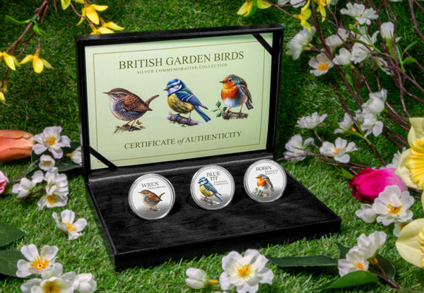 The British Birds 1oz Silver Set – The Westminster Collection International