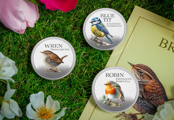 The British Birds 1oz Silver Set – The Westminster Collection International