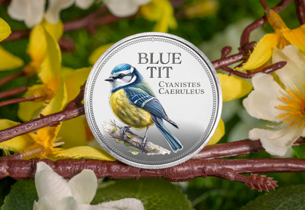 The British Birds 1oz Silver Set – The Westminster Collection International