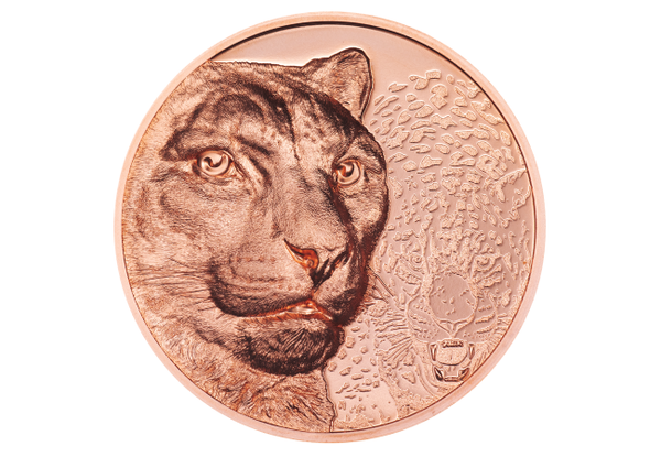 The Snow Leopard Ultra-High Relief 50g Copper Coin – The Westminster ...